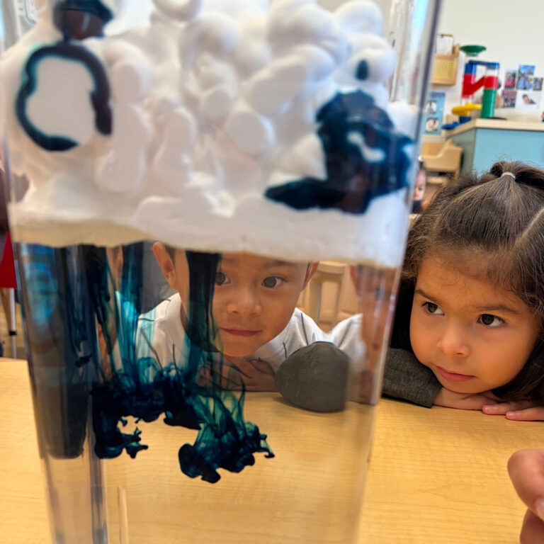 Importance of STEM Activities – Childrens Paradise